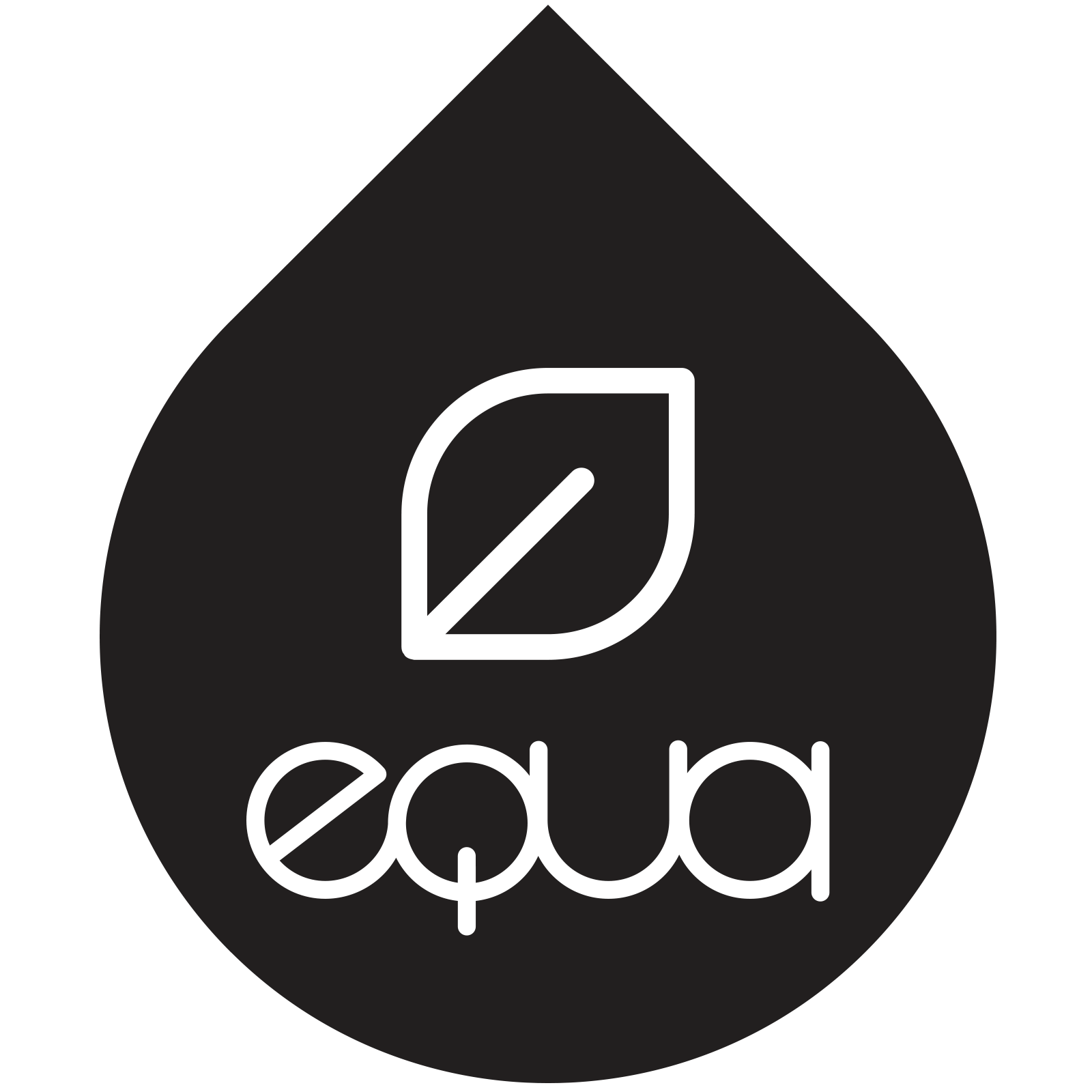 Detox waters - Un petit Oiseau dans la Cuisine